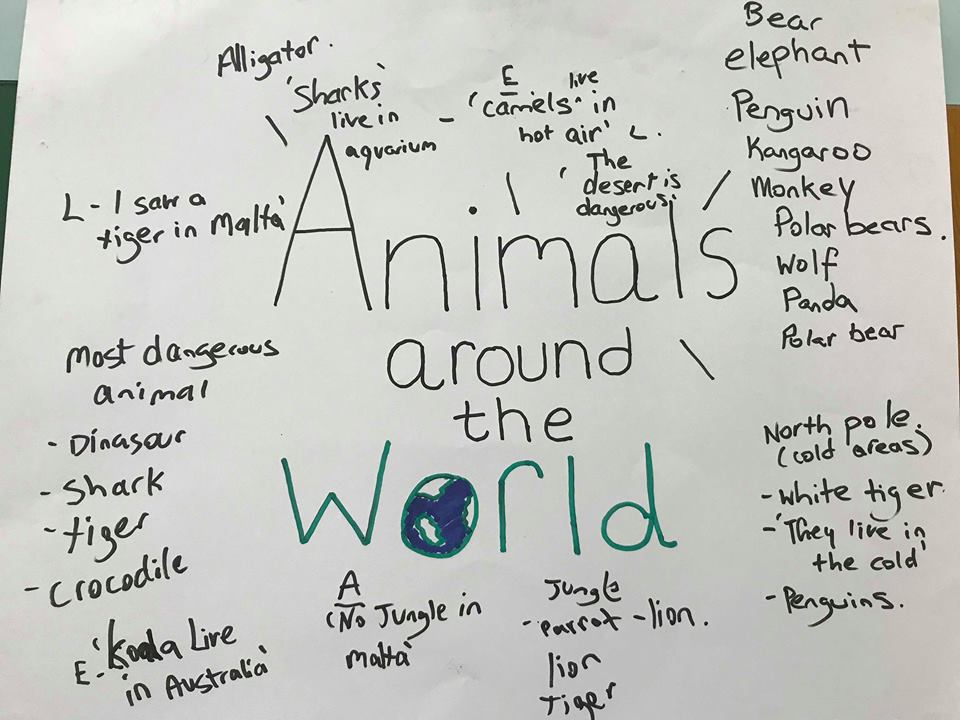 Animals around the world | Ms. Andrea's Classroom